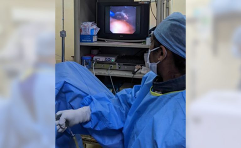 Retrograde intrarenal surgery by holmium laser – Potent Medical